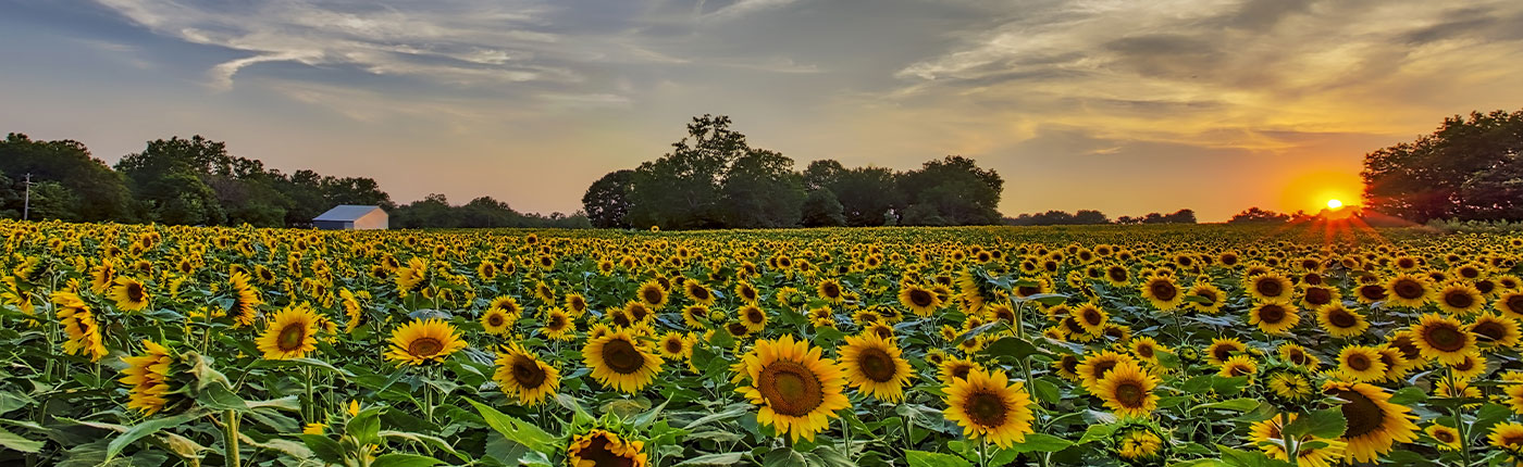 Kansas Environmental Consultant - Phase 1 & 2 ESAs